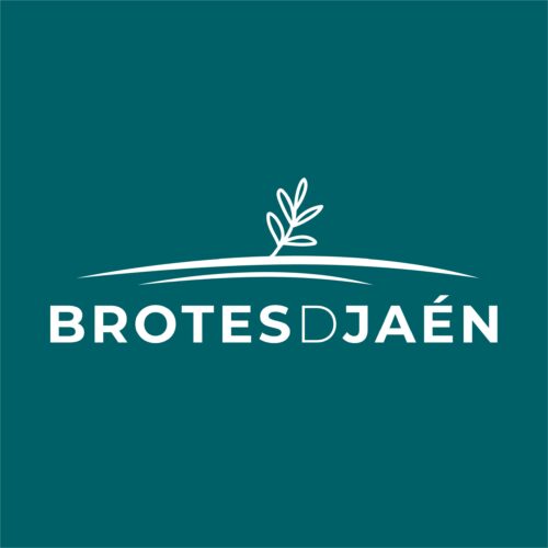 Circular Engineering SL – Especialistas en Economía Circular